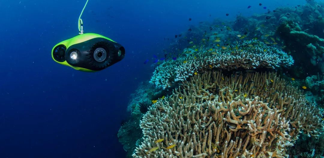 为何国外用户都在为FIFISH水下机器人打Call？_特种机器人_企业动态_资讯_无人系统网_专业性的无人系统网络平台