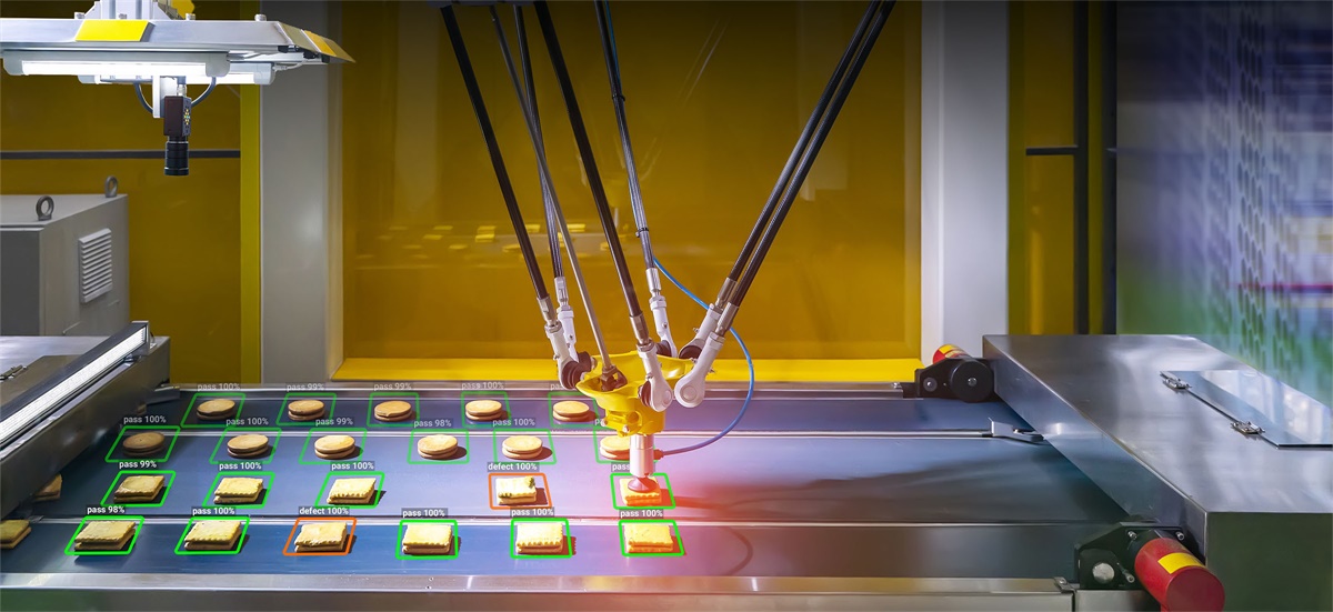 美国Flexible Vision公司