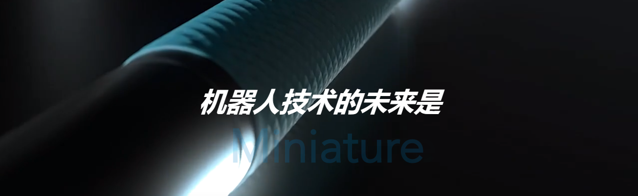 美国FLX Solutions公司